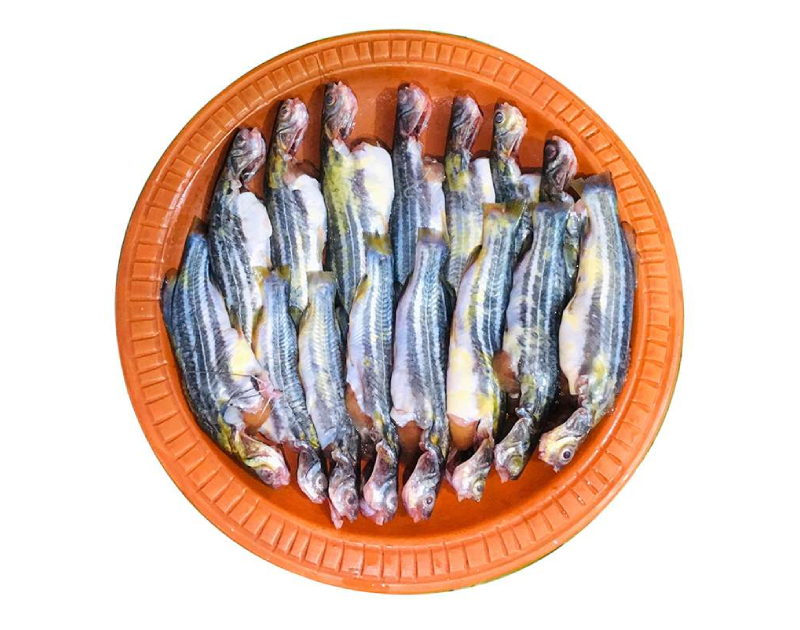 Tengra Block 500g – Wholesale Price